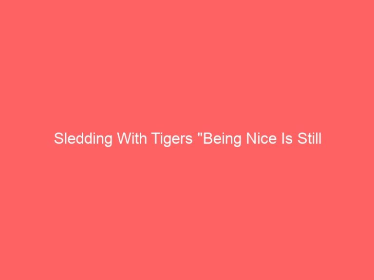 Sledding With Tigers "Being Nice Is Still Cool" Album Reviewed - Rock NYC